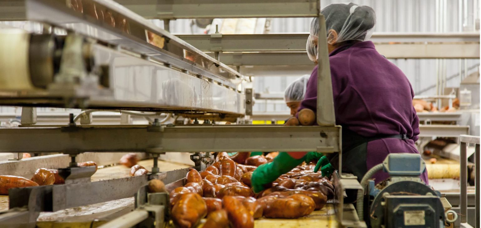 LED Commercial Kitchen Lighting | LED Industrial Kitchen Lighting ...