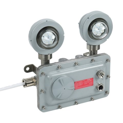 2 Head 10 Watt Explosion Proof Emergency Light | C1D1 | C1D2