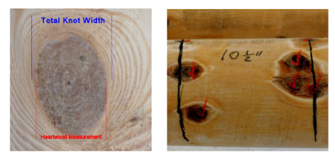 The Complete Guide to Wood Pole Standards | LED Lighting Supply